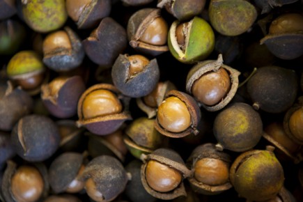 Sascha Triemer - ein Deutscher in Dubai - Mortimer Reisemagazin