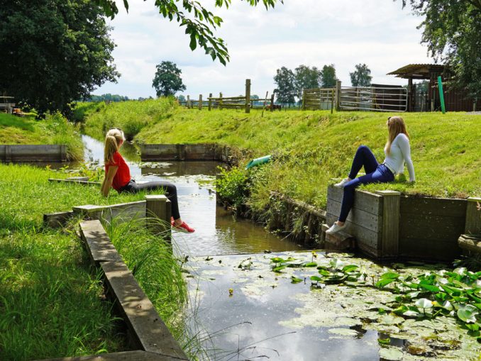 Sascha Triemer - ein Deutscher in Dubai - Mortimer