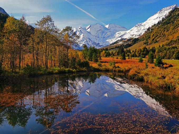 Sascha Triemer - ein Deutscher in Dubai - Mortimer