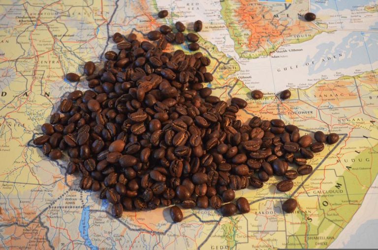 Über die Geschichte des Kaffees - Mortimer