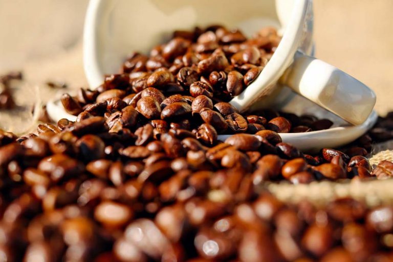 Über die Geschichte des Kaffees - Mortimer