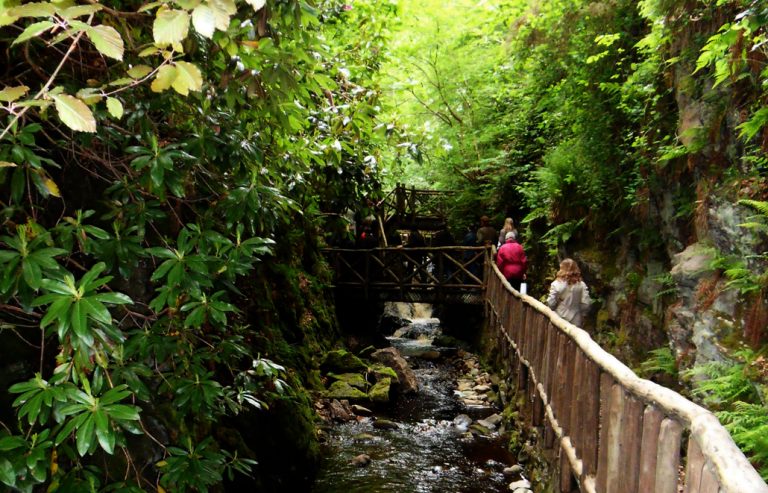 Glen Grant - Whisky mit Schmuggler-Wurzeln - Mortimer