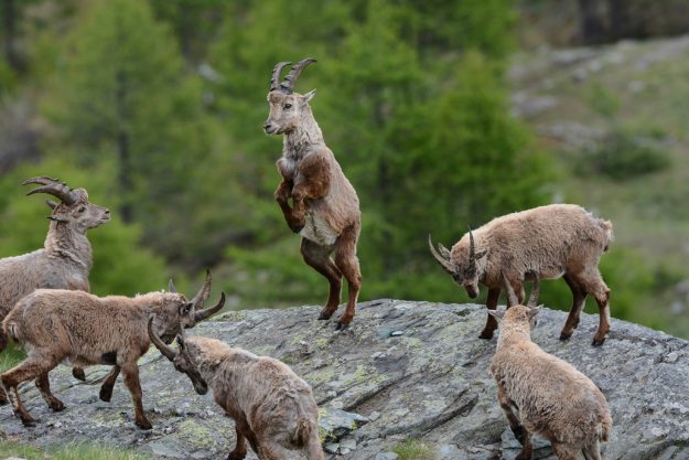 Aostatal: Naturerlebnisse für jedes Alter | Mortimer Reisemagazin
